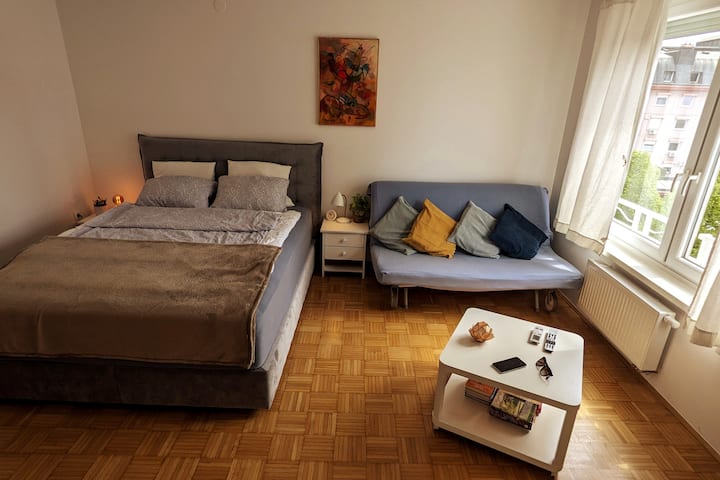Tour As Ljubljana Apartment Zala With Free Parking - Ljubljana