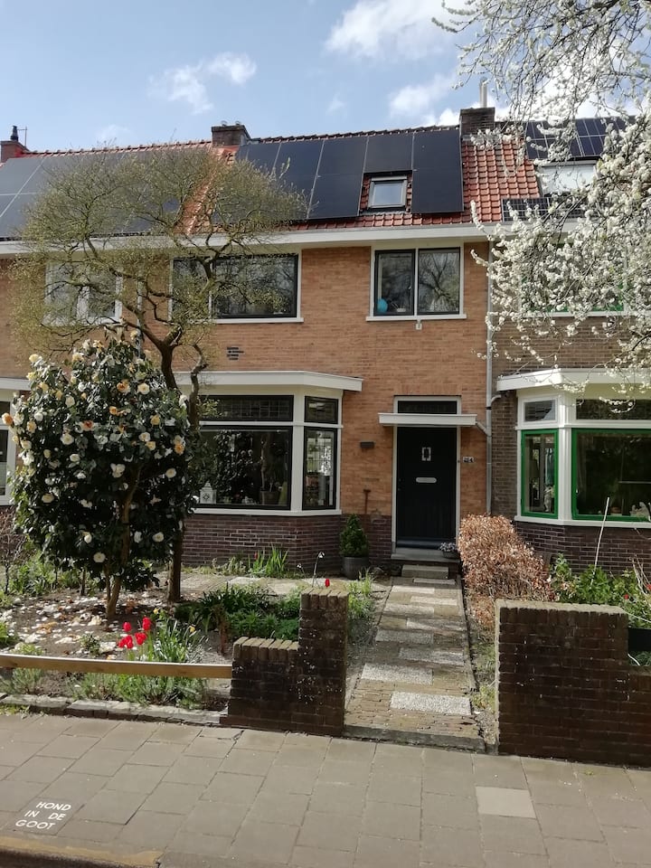Welkom In Alkmaar - Alkmaar