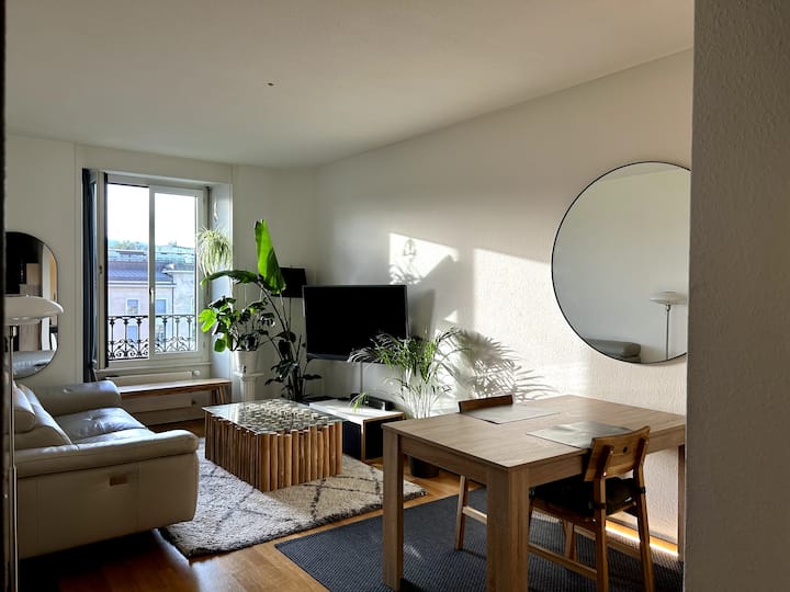 Charming City Center Flat - Ginebra