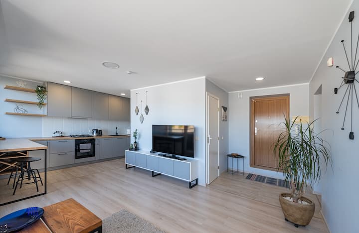 Central 2 Bd Apartment By Hostlovers - Kaunas