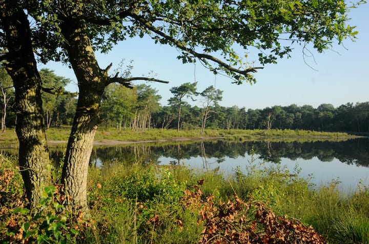 Leuk Huisje Bij Prachtige Natuur - Boxmeer