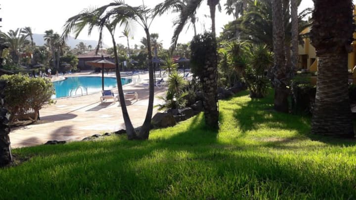 Casa Oasis Tamarindo - Corralejo