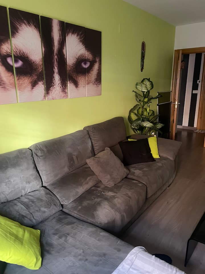 Bonita Habitación En Soria - Soria