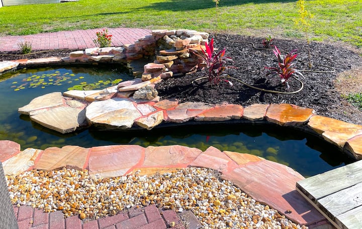 Koi Haus With Large Koi Pond - Cape Coral, FL