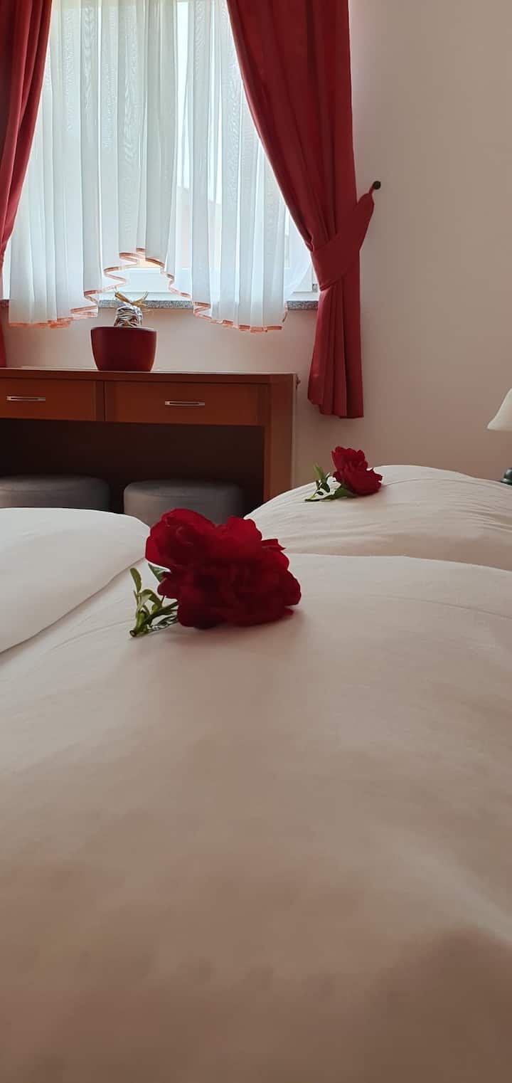 Apartman Mano - Rijeka