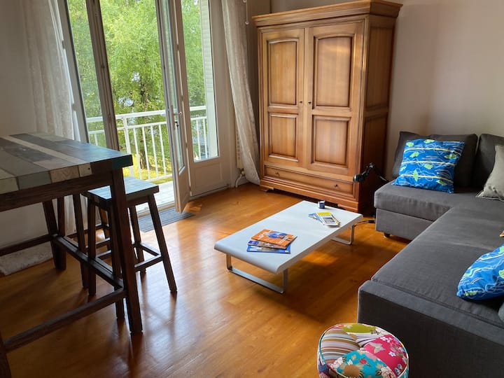 Appartement Lumineux Vue Sur La Montagne-grenoble - Seyssins