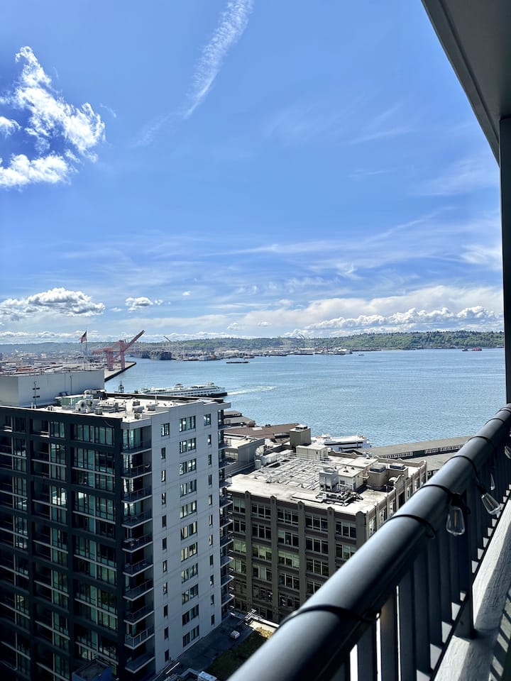 Gorgeous Water View*steps To Pike/waterfront/bar - Seattle, WA