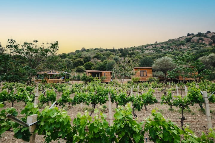 Sunset Houses Datça-ahşap Ev Xxl - Palamutbükü Plajı