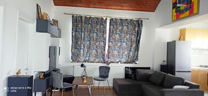 Casa Tunari - Otopeni