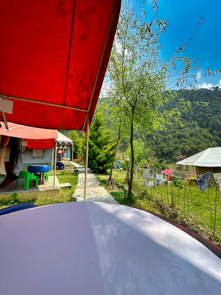 Safari Camps – Peaceful Riverside Nature Stay - Barot