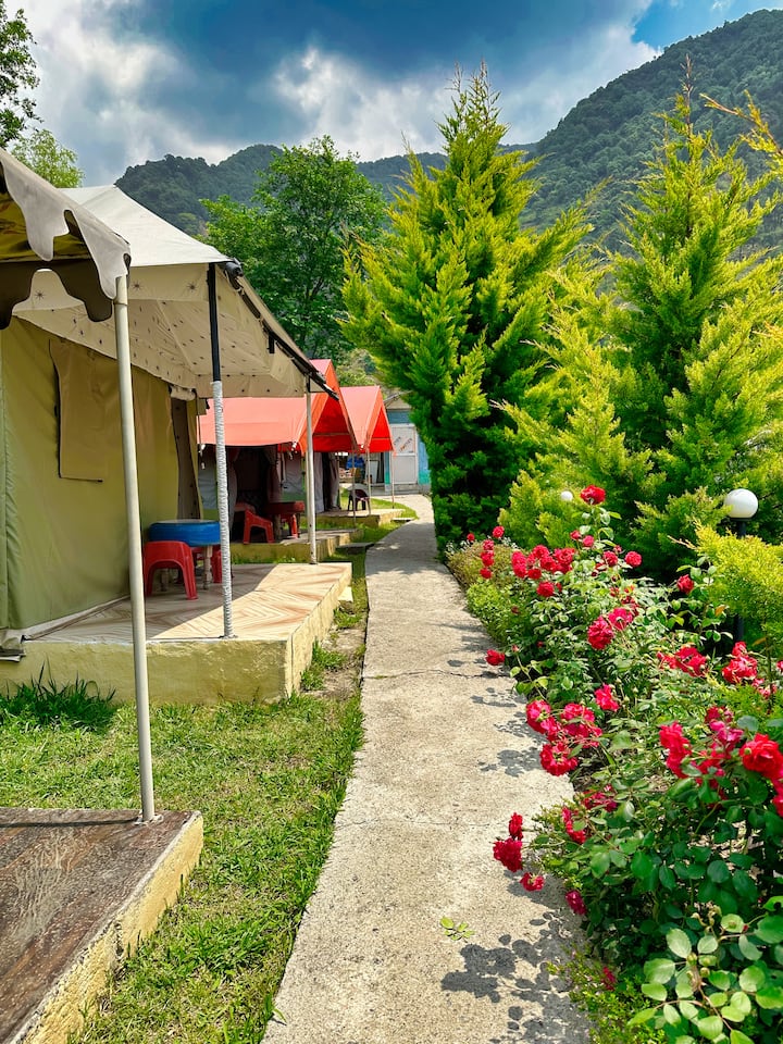 Swiss Camp Retreat | Nature, Peace & Views - Barot