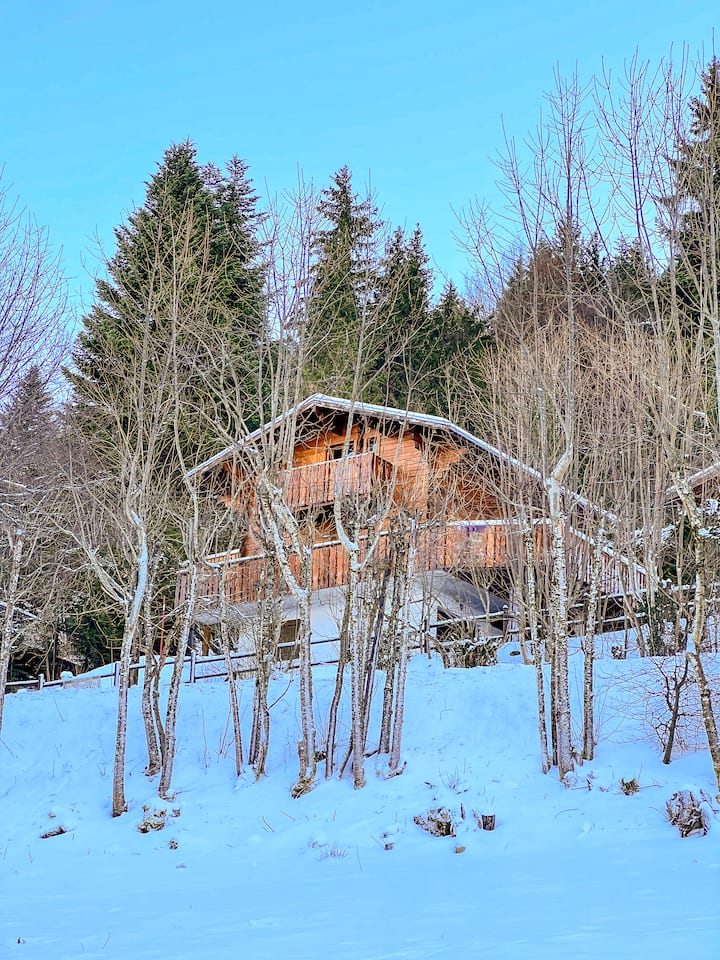 Chalet Mouflon - Vue Incroyable Au Pied Des Pistes - Lac Léman
