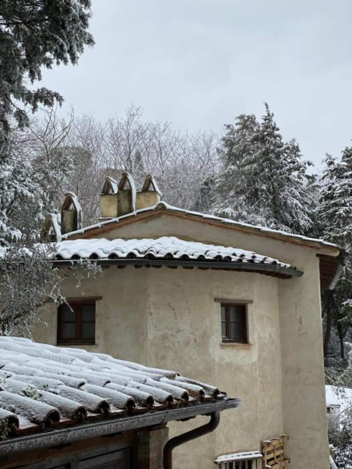 Ala Del Grifo - Chiusi