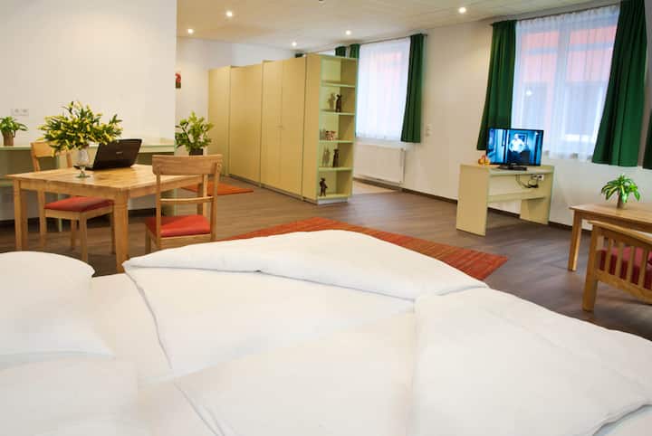 Zimmer 56m² Wiener Neustadt Ap14 -