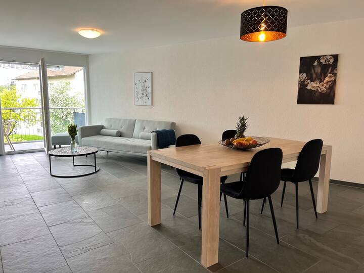 3.5 Zimmer Apartment Hunzenschwil - Aarau