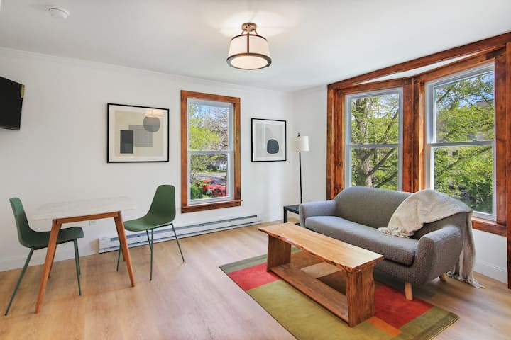 Ny Suite | Downtown Walk To Commons | Free Parking - Ithaca, NY