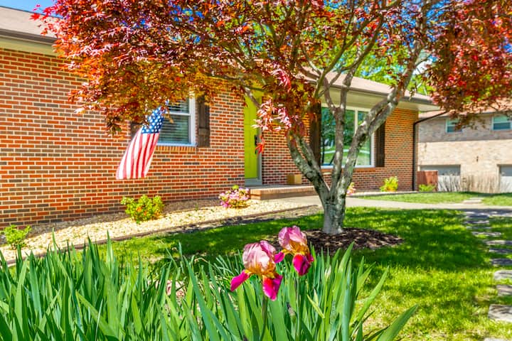 Mountain View! Steam Room! Family & Dog Friendly - Lookout Mountain, GA