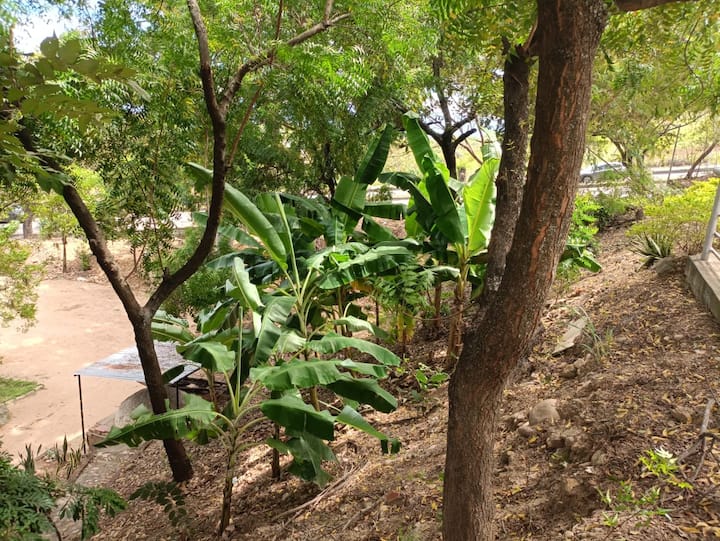 El Rancho De Mi Taita P3 Hospedaje Turístico - Neiva