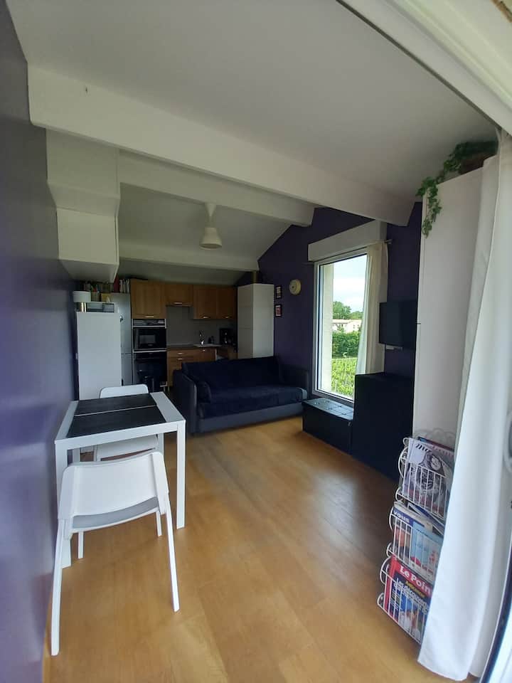 Logement Entier 37m2 Indépendant 1er éTage Villa - Villenave-d'Ornon