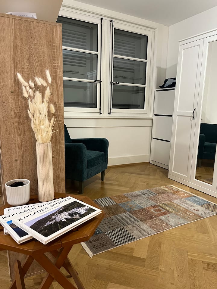 Roof Top, Four Season View ‼️ - Geneva