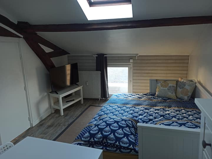 Joli Appartement En Centre-ville - Poitiers