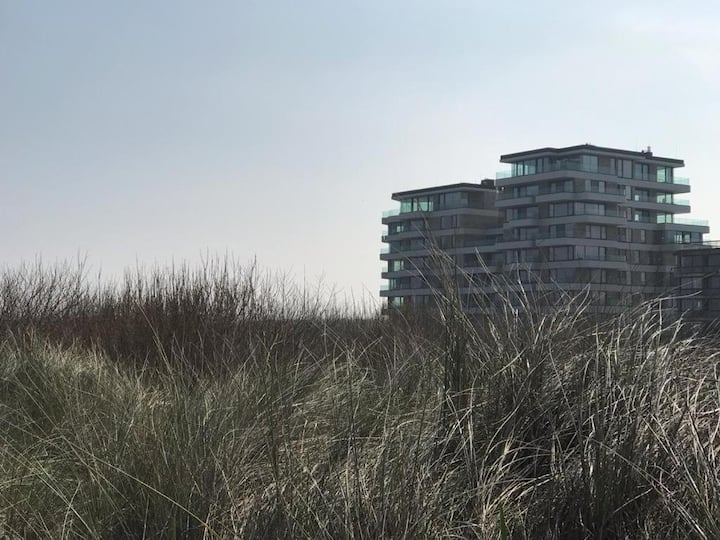 The One - Luxueus Strandverblijf - Brujas