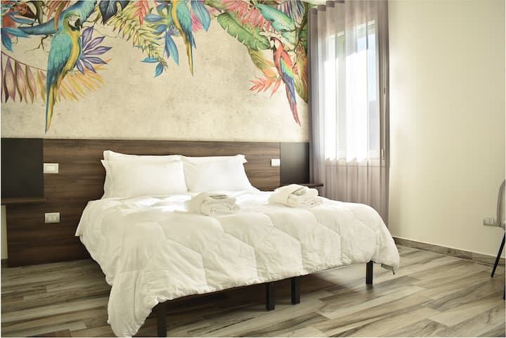 Royal  Luxury 991 - Padua