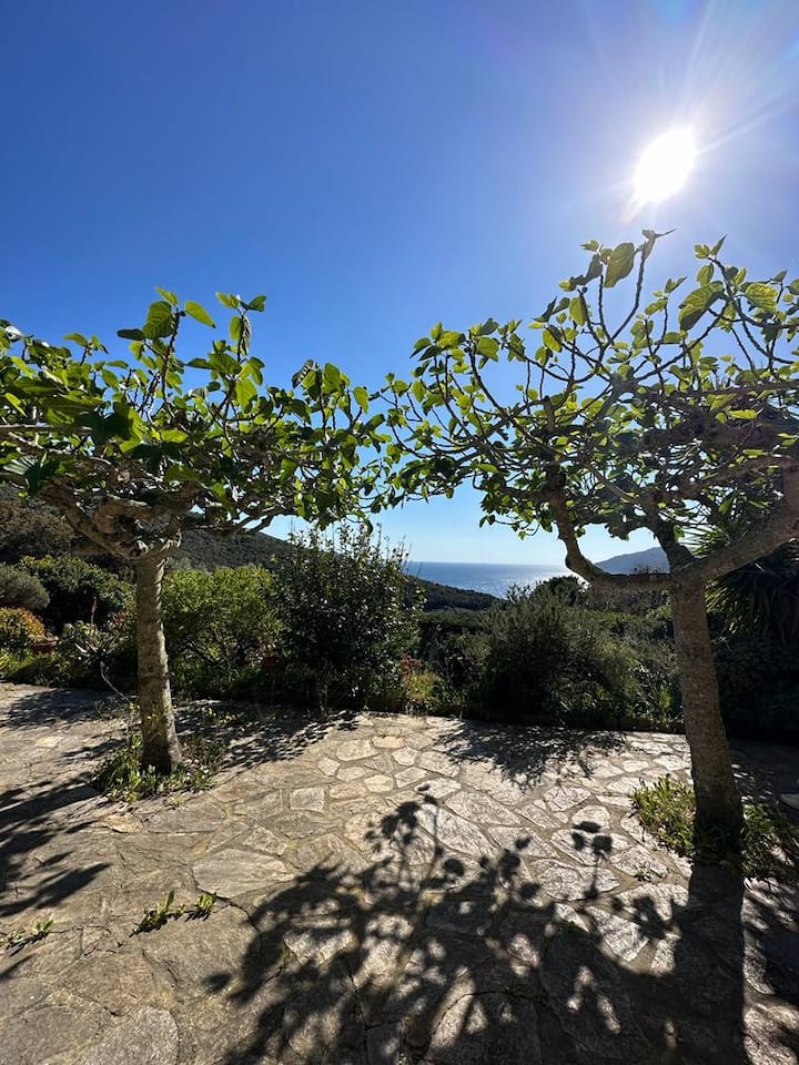 Charmante Maison Levantine Terrasse Vue Mer - Île du Levant