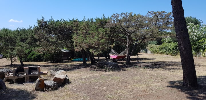 Olmeto Plages T4 Bord De Mer - Belvédère-Campomoro