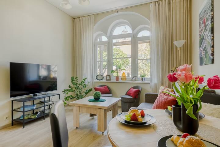Old Town Apartment - Vilna