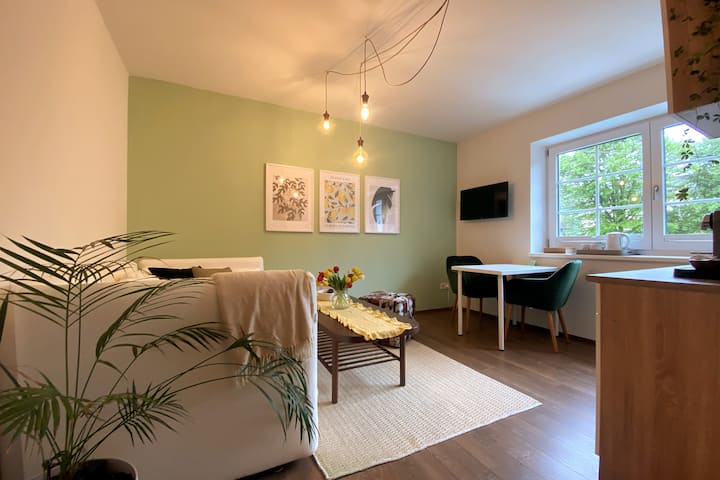 Moderne Stadt Wohnung Mit Zwei Zimmer - Salzburg