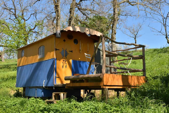 Roulotte Au Cœur Des Arbres - Castelnaudary