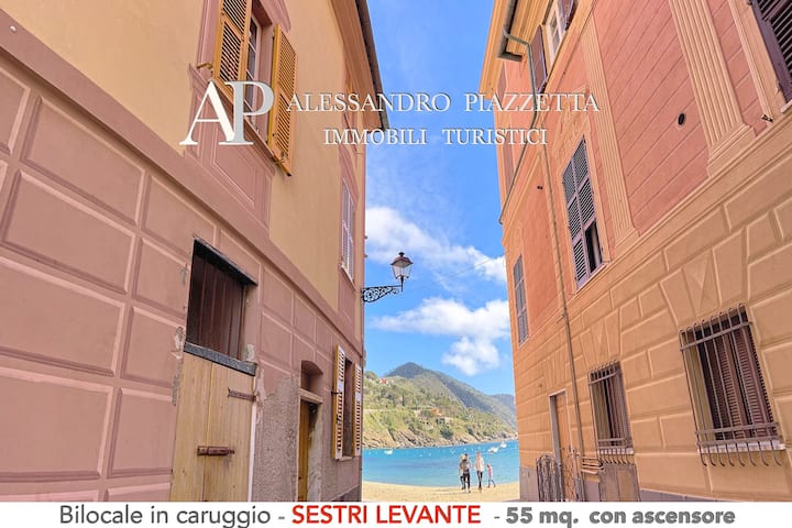 Nel Corso Tra Le Baie - Sestri Levante