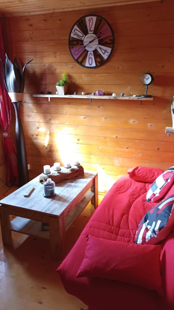Appart Ambiance Chalet - Nice