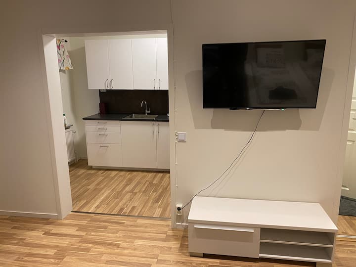 Nyrenoverad Studio Lägenhet - Västerås