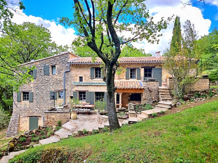 En Pleine Forêt - Sault