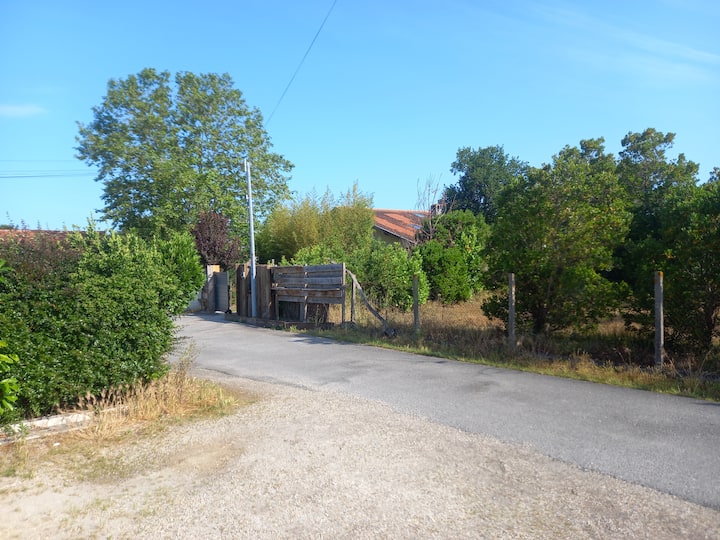 Vacances Dans Maison Avec Jardin , Près De L'océan - Biscarrosse