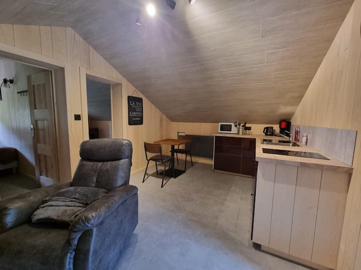Appartement En Pleine Montagne - Métabief