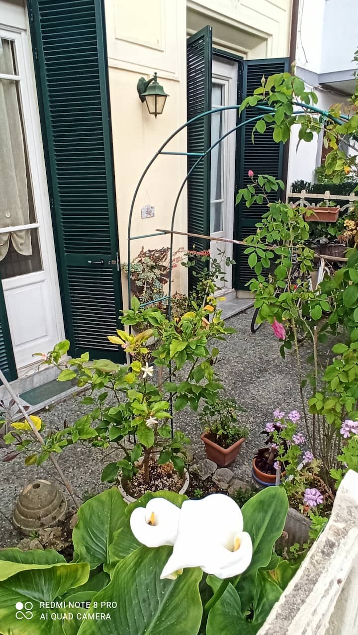 La Casa Tra Il Verde E Il Mare

It046033c2il9p63la - Viareggio