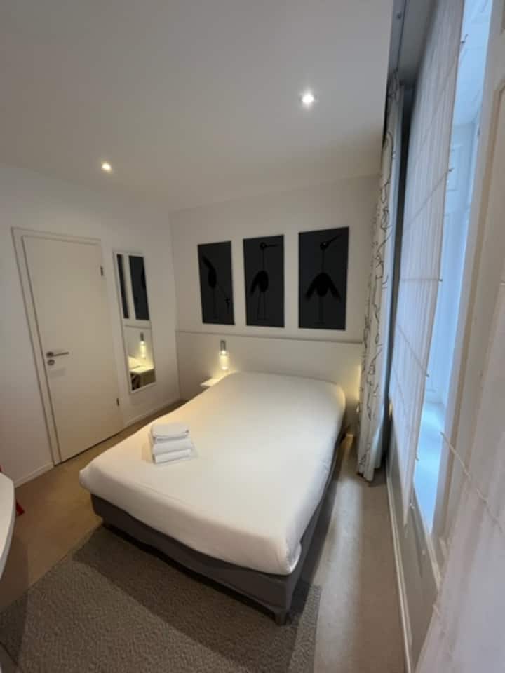 Chambre Privée Sdb Proche Cathédrale N°4 - Strasbourg