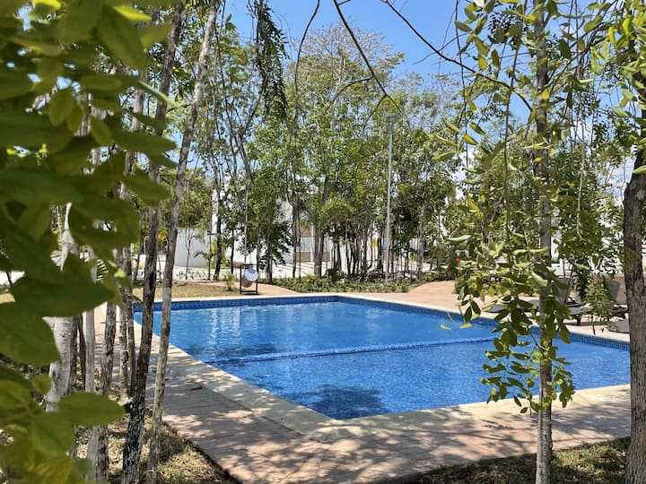 Mel&roo, Terraza Int. Y Alberca - Playa del Carmen