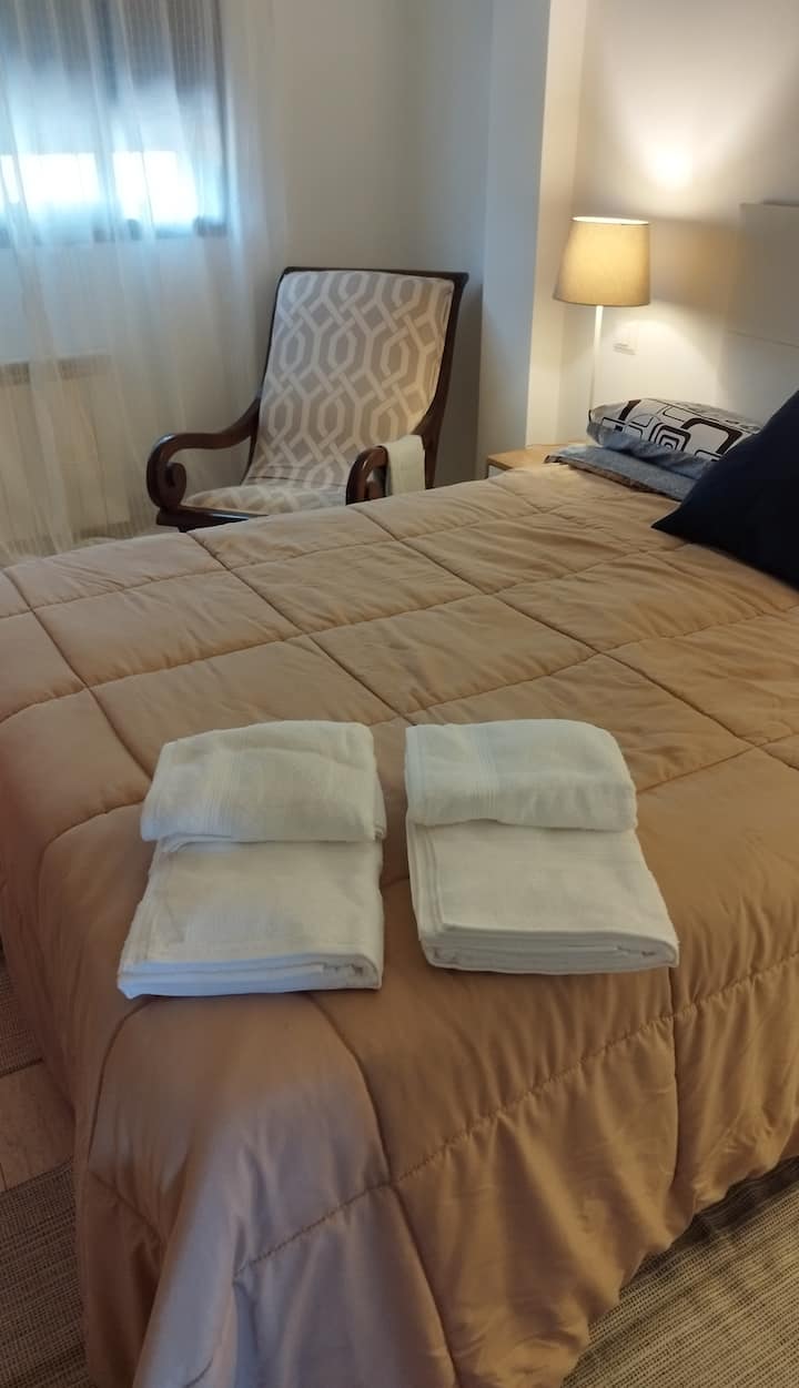Habitación Goya En Zaragoza. - Zaragoza