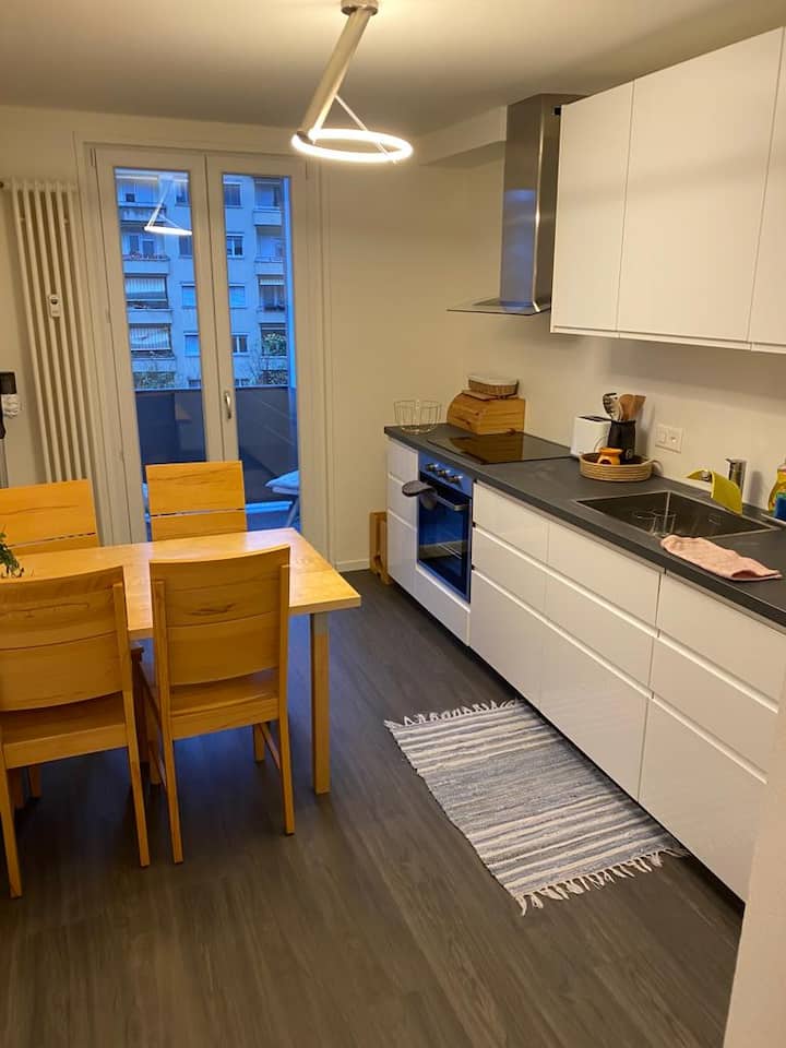 A Beautiful Two Rooms Apartment - Basel