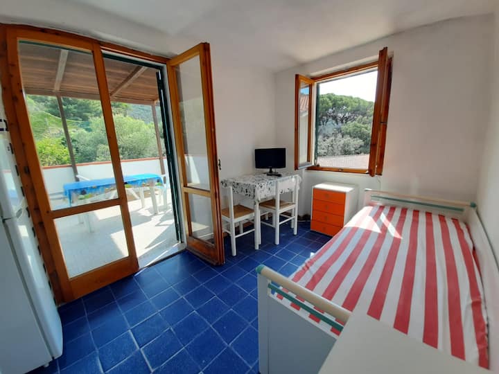 Paradisino Apt A 50m Dal Mare - Portoferraio