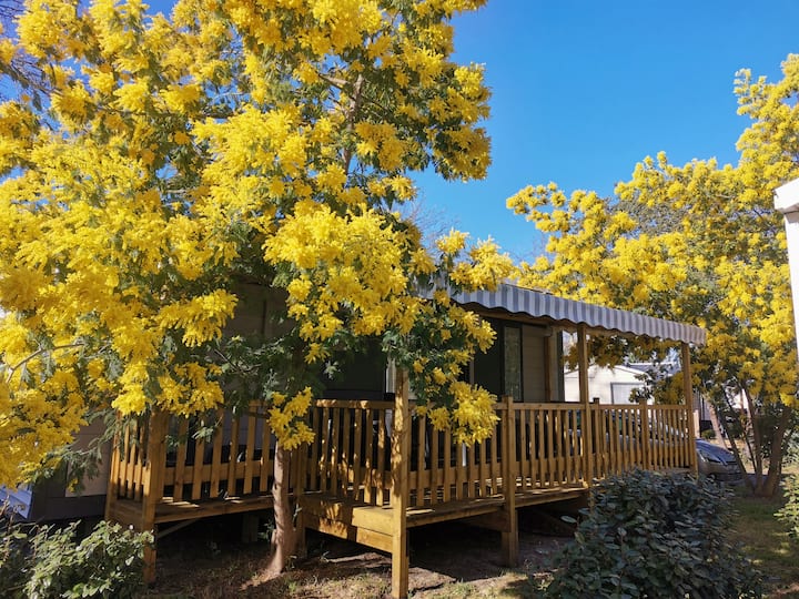 Mobil 'Home Climatisé Pour 5 Pers - Soulac-sur-Mer