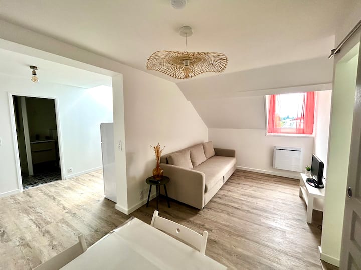 Charmant T2 à Aix-les-bains ! - Aix-les-Bains