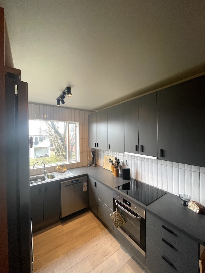 Apartment In Kópavogur - Reikiavik