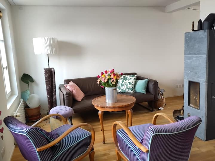 Gemütliches Stadthaus Mit Garten - Lucerne