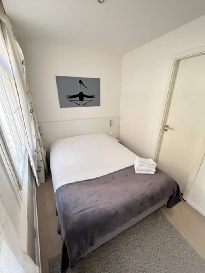 Chambre Privée Sdb Proche Cathédrale N°10 - Strasbourg