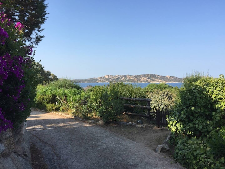 Punta Nera - Palau